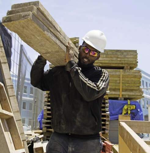 Job a labour of love for dedicated workers - The Royal Gazette ...