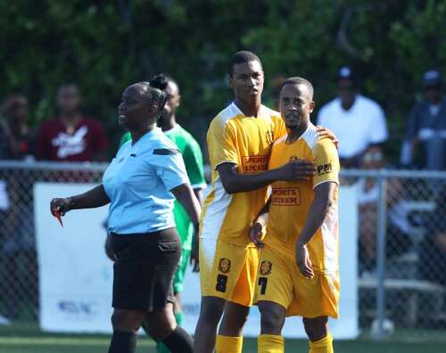 I quit because of abuse, says Trott - The Royal Gazette | Bermuda News ...