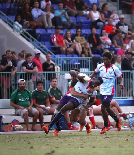 Dill returns to Bermuda line-up for Caymans - The Royal Gazette ...