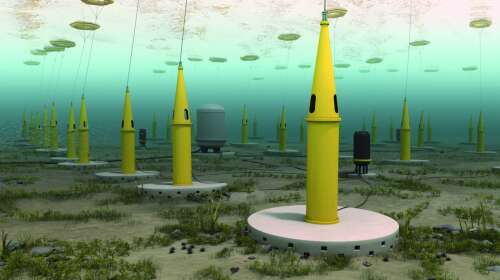 Site identified for wave energy farm - The Royal Gazette | Bermuda News ...