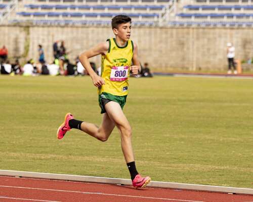 Cameron Adkins hits Carifta Games qualification standard - The Royal ...