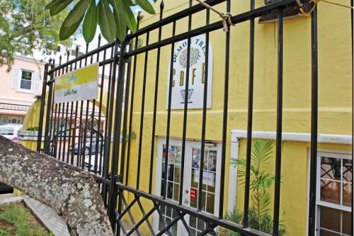Lemon Tree Café in liquidation - The Royal Gazette | Bermuda News ...