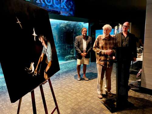 David Wingate portrait donated to National Gallery - The Royal Gazette ...