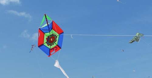 Belco urges public to observe safe kite flying habits - The Royal ...