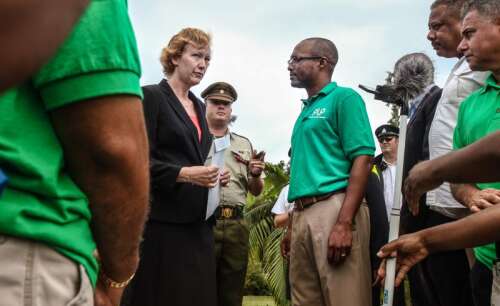 Two bald men fighting over a comb - The Royal Gazette | Bermuda News ...