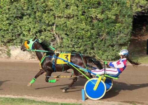 Tyler Lopes and Google Me put down early marker at harness racing ...