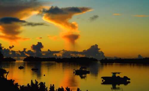 Photographer’s Bermuda video goes viral - The Royal Gazette | Bermuda ...