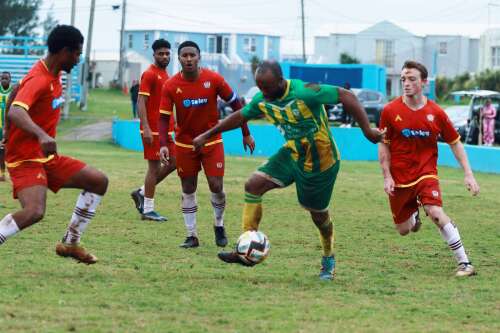 Devonshire Cougars coach Kwame Steede gives up on title challenge - The ...