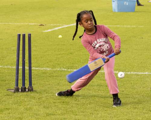Free Pee Wee cricket sessions for children aged 5 to 7 - The Royal ...