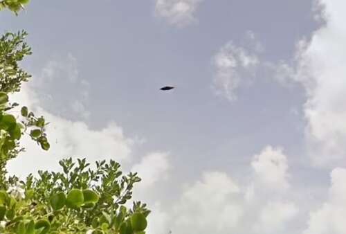 Aerial disc has social media seeking aliens in Bermuda - The Royal ...